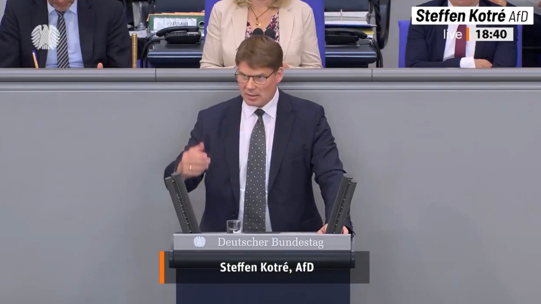 AfD-topper hygget seg på konferanse i St. Petersburg: – Putins bestevenner