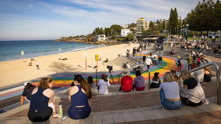 Sydney shark attack: Woman critically injured by 3.5-metre great white ...