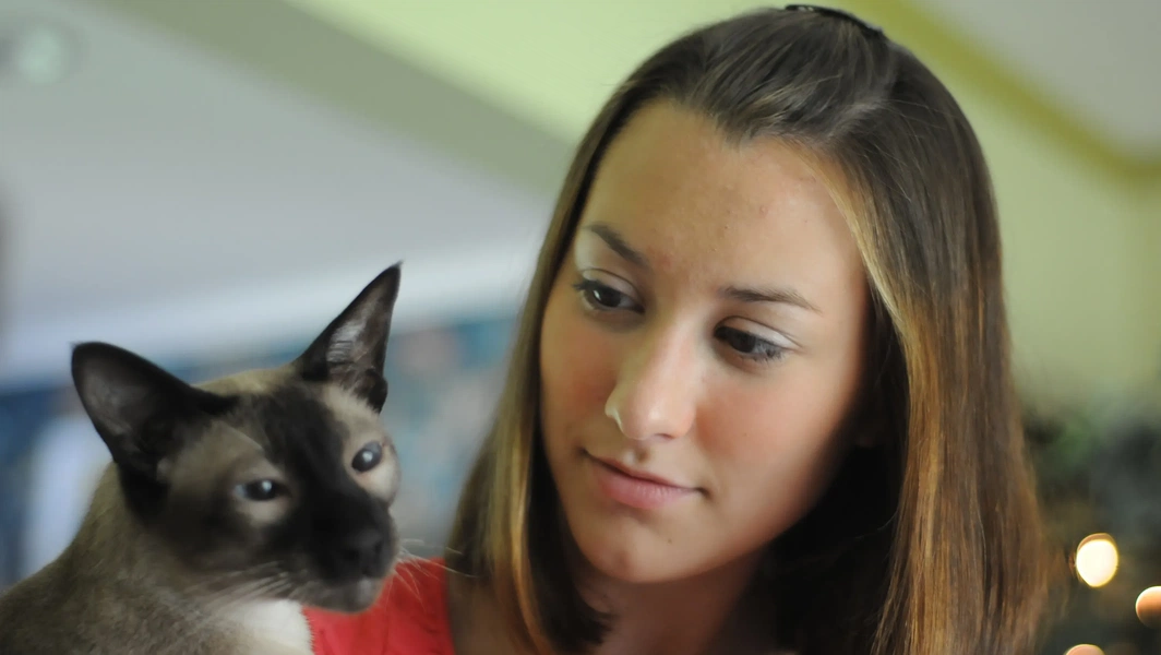 8 cat breeds known for strong human bonds