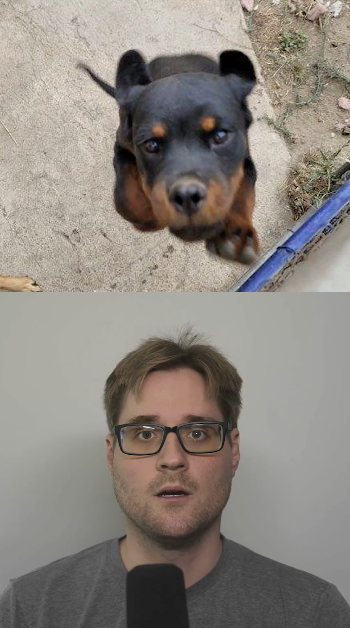 The cop shot their dog then took her body