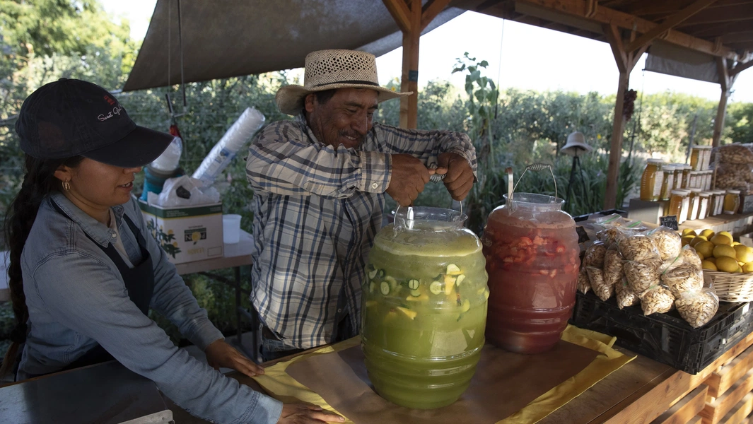 11 refreshing watermelon drinks for warm weather