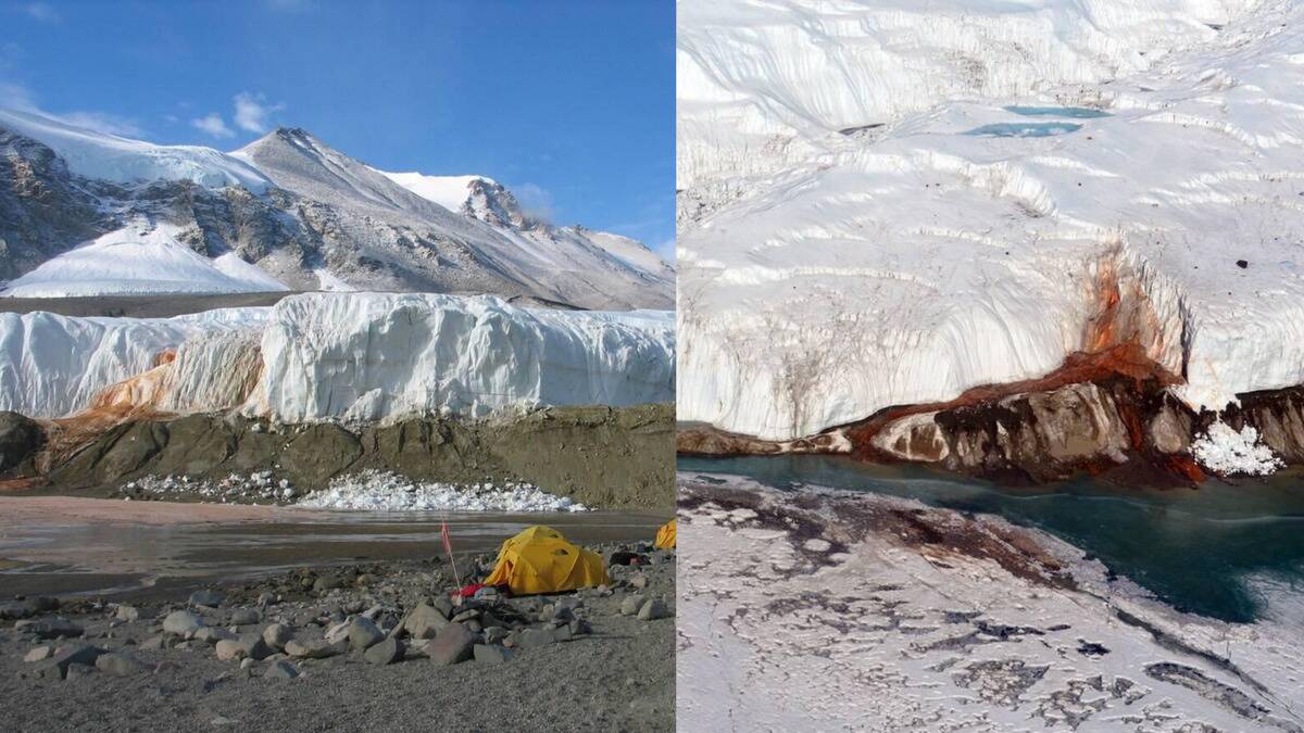 Why Antarctica's Blood Falls appear red
