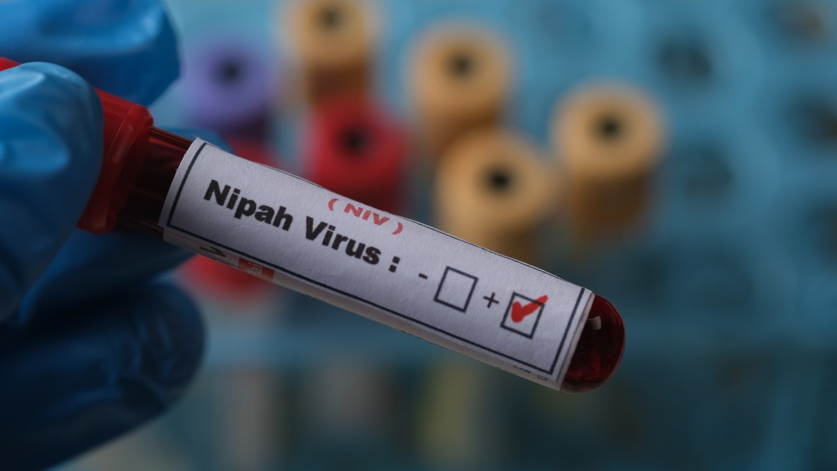 As Kerala handles first Nipah virus case of 2026, a debate over source ...