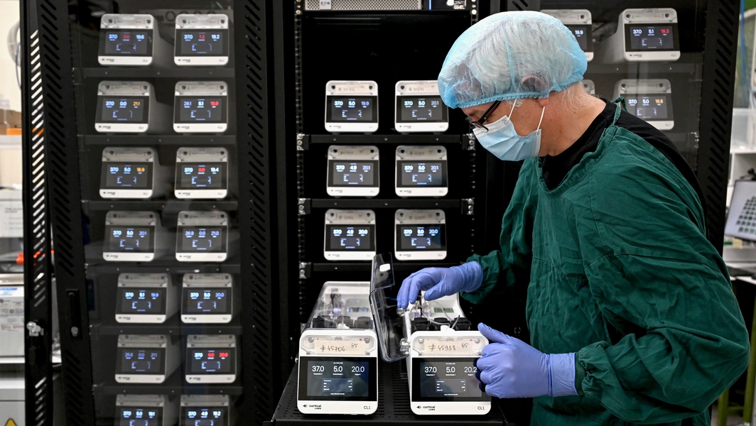 Brain-cell computers move from lab experiments to commercial market