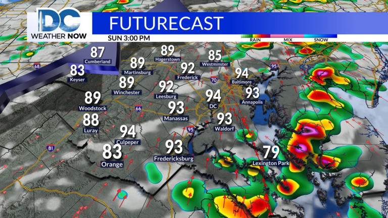 Sunny & less humid Saturday