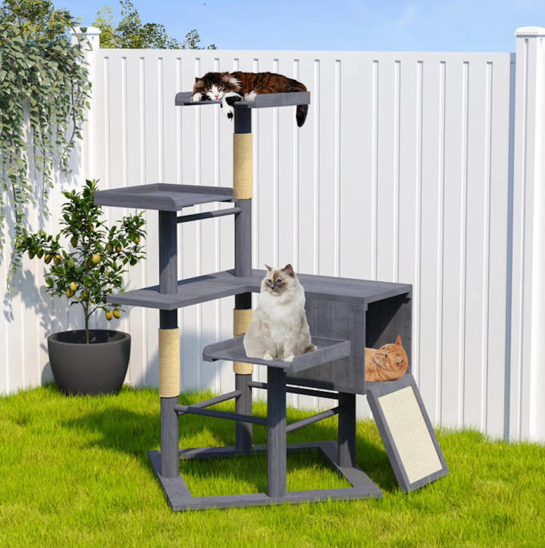 Walmart's weatherproof cat tree lets outdoor cats climb, lounge, and ...