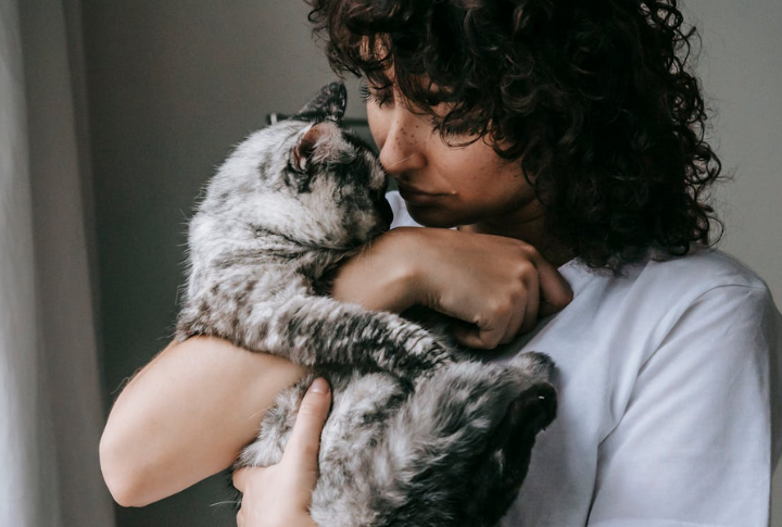 20 common mistakes new cat owners make without realizing it