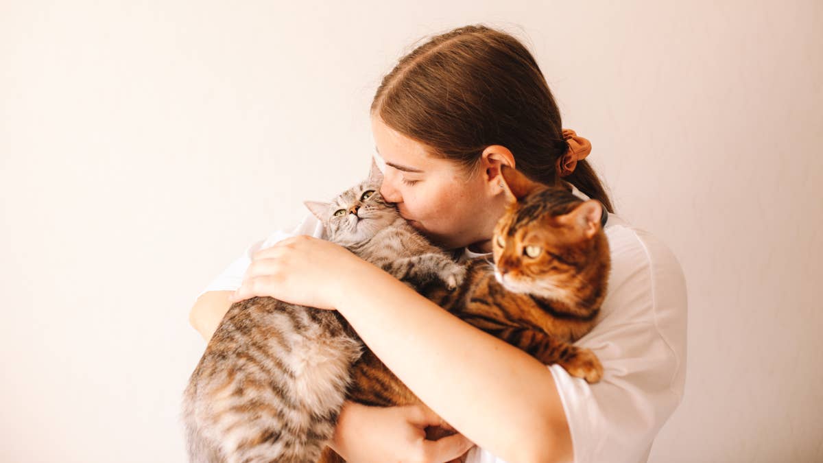 8 psychological benefits of owning a cat, according to a psychologist
