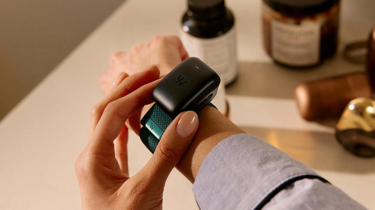 Fitbit Air vs. Whoop: How do the screenless fitness bands stack up?