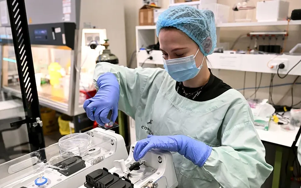 Brain-cell computers move from lab experiments to commercial market