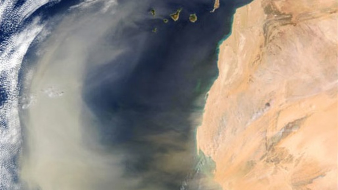 Dust blown off the Sahara drifts across the Atlantic and fertilizes the ...