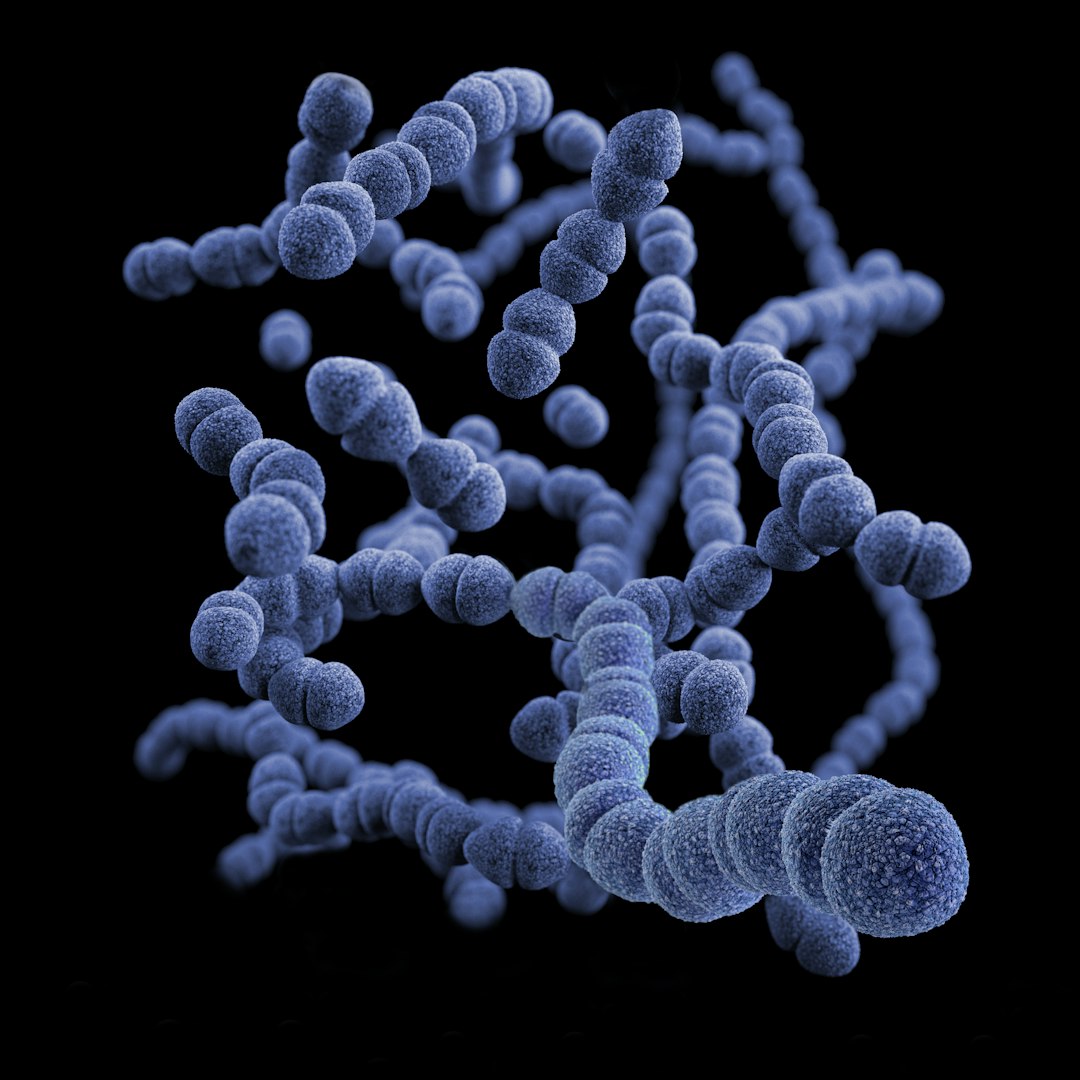 The transplant rejection: Why the Western diet stops healthy gut ...