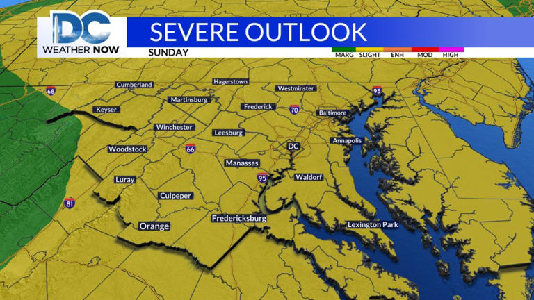 Sunny & less humid Saturday