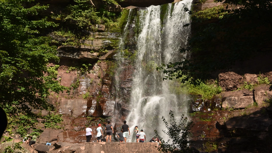 Protected parks and natural escapes in New York