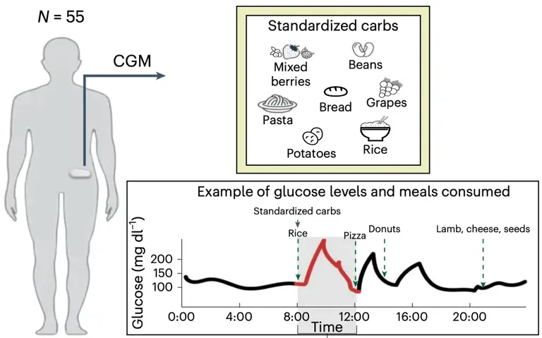 A mini-masterclass in blood sugar control