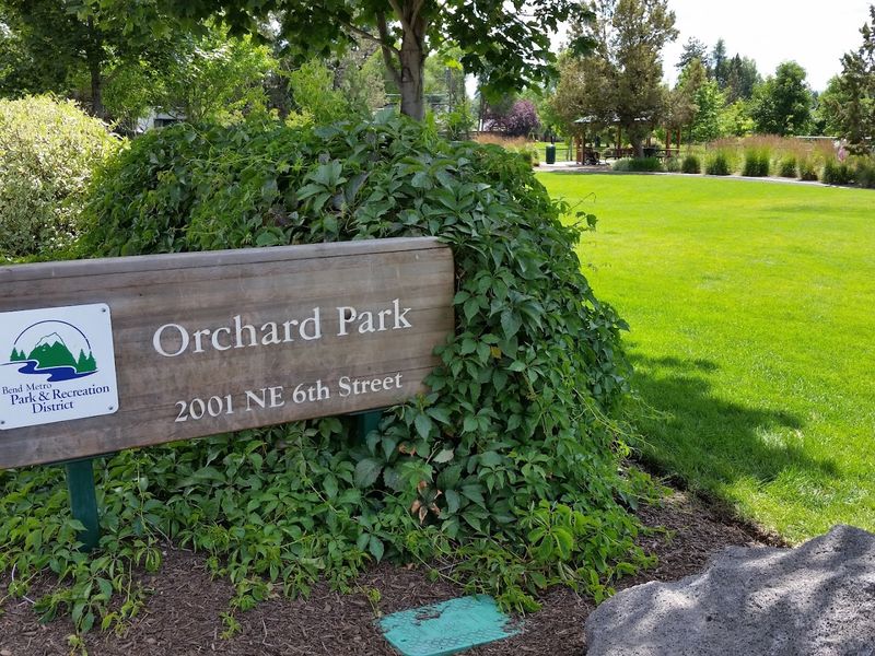 You can get up close to hundreds of wild hummingbirds at this enchanted ...