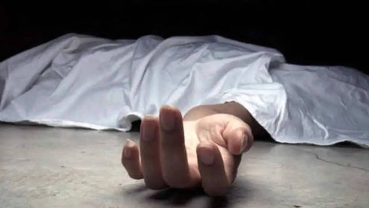 'Repeatedly humiliated me': Pune techie hangs himself; FIR against 2 ...