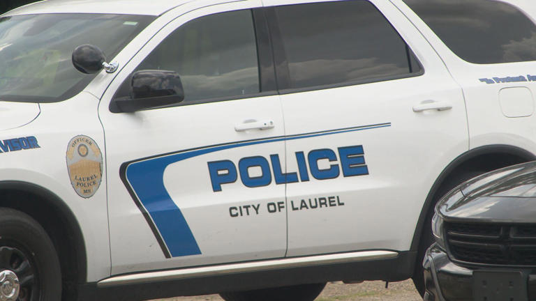 LPD upping security at local schools after string of bomb, active ...