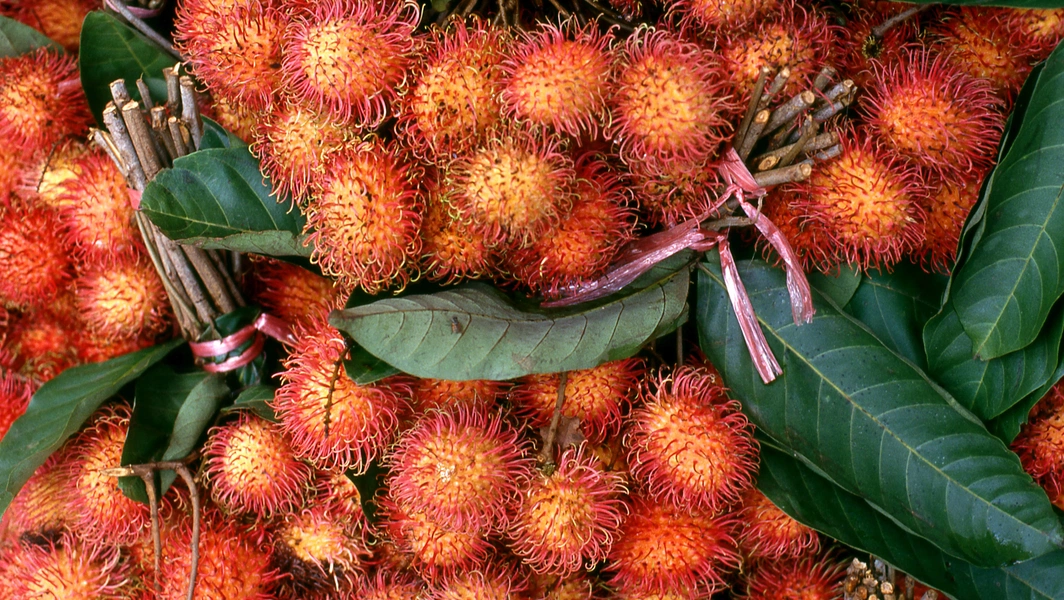17 unique fruits from around the world