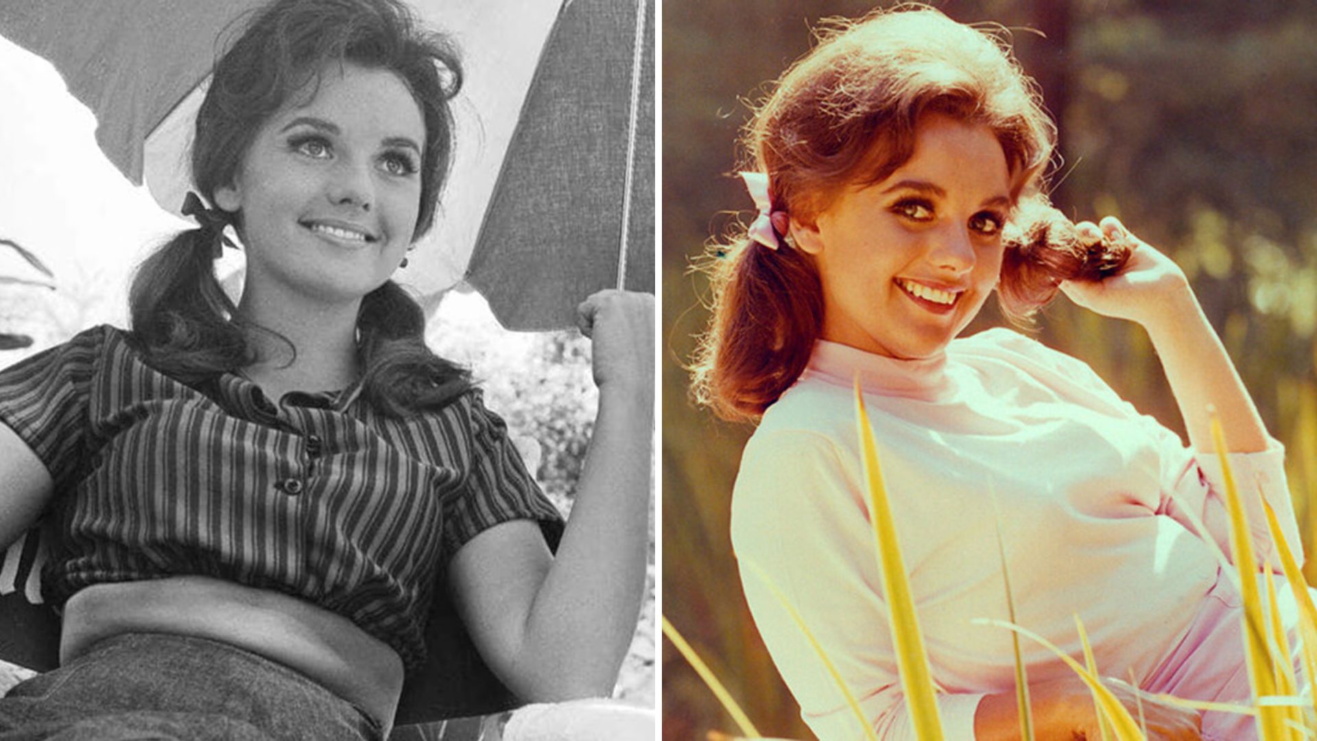 Remembering Dawn Wells, the small town girl of classic TV
