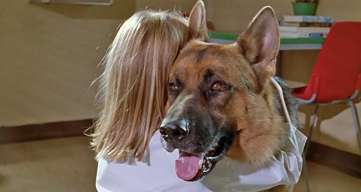 Rex : des épisodes jamais vus en France désormais disponibles