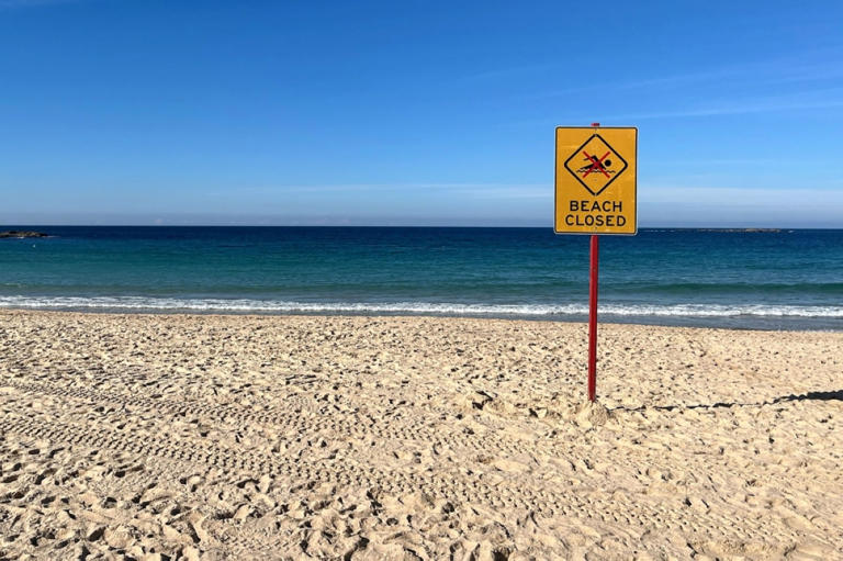Woman critically injured in Australia shark attack
