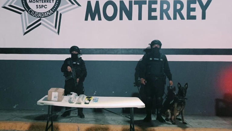Policía de Monterrey frena envío de droga en la Central de Autobuses ...