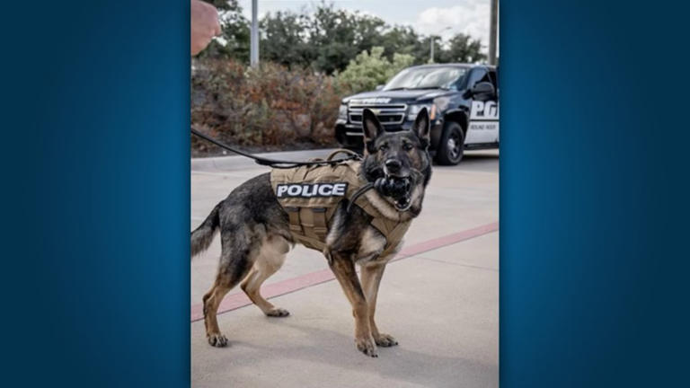 K-9 officer with Round Rock PD passes away after cancer battle