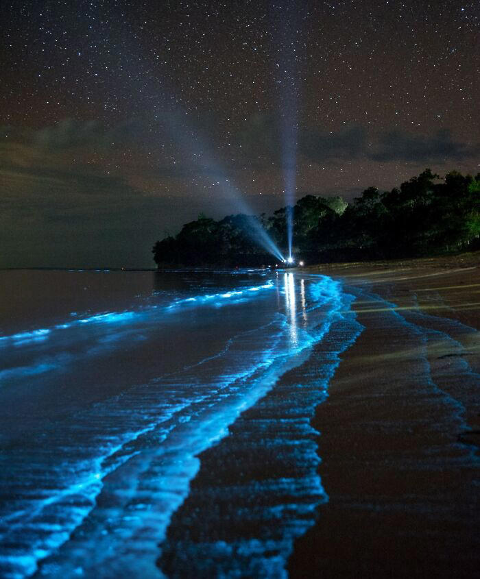 50 pics showing the weird natural phenomena that occur on Earth