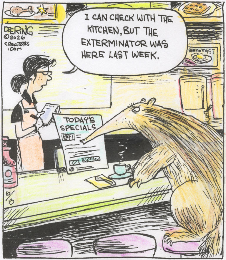The latest comic strips from the Creators Syndicate (6/13)