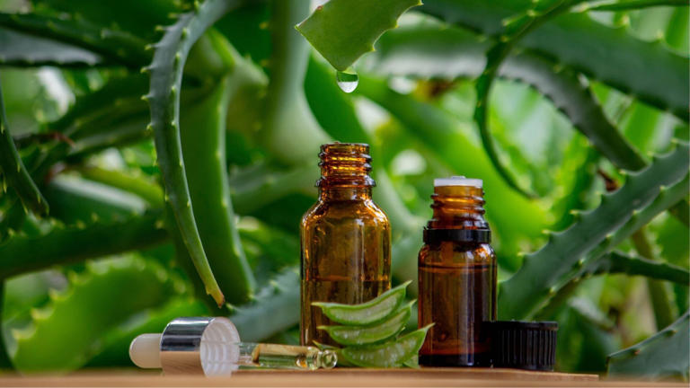 El shampoo anticaspa casero que protege el pelo, lo deja brillante y ...