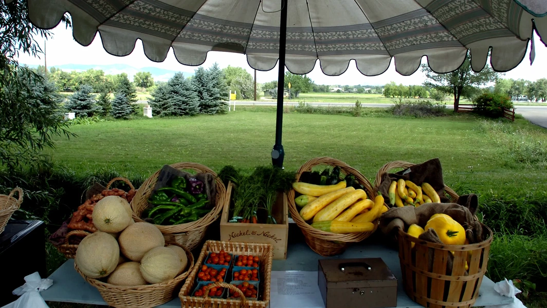 Challenges and adaptations of rural Minnesota grocers