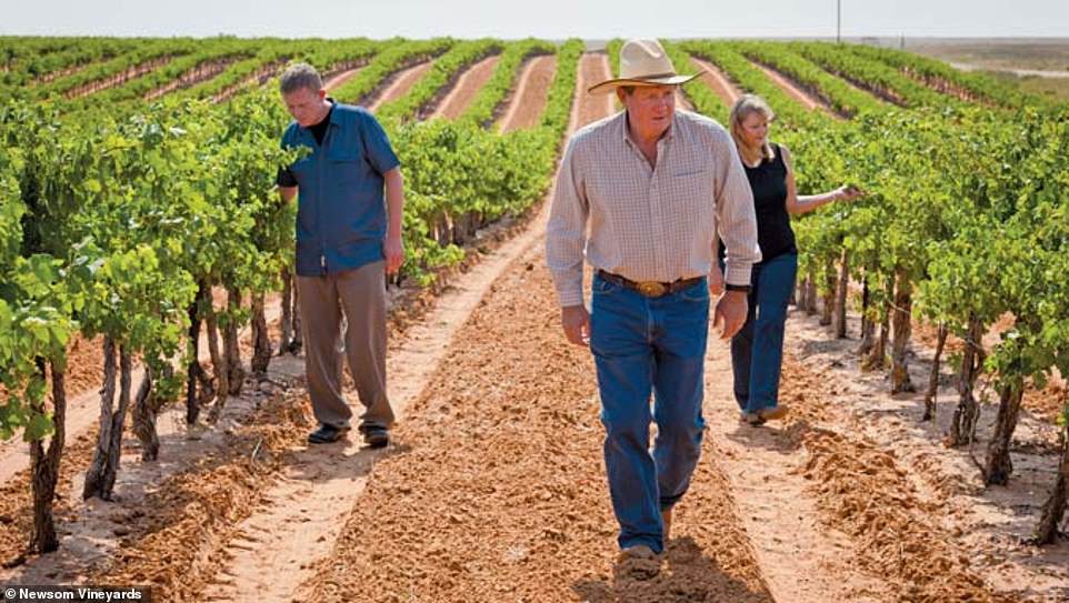 Red state Napa: Insiders reveal America's hidden 'Hallmark' town