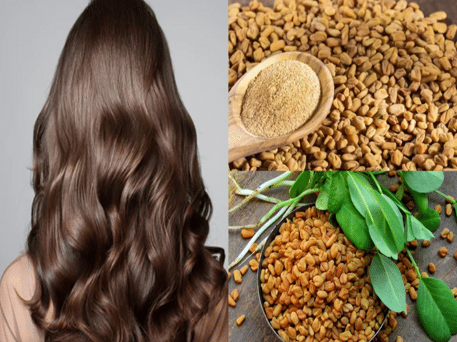 The secret to long, thick hair lies in fenugreek! Incorporate it into ...