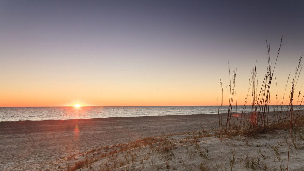 Historic and natural wonders of Amelia Island