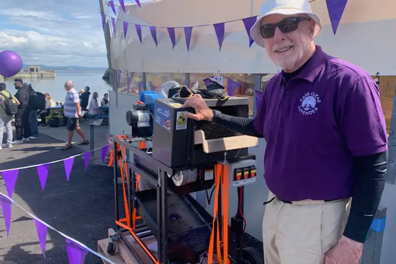West Cork island celebrating 5 years of lavender with blooming great ...