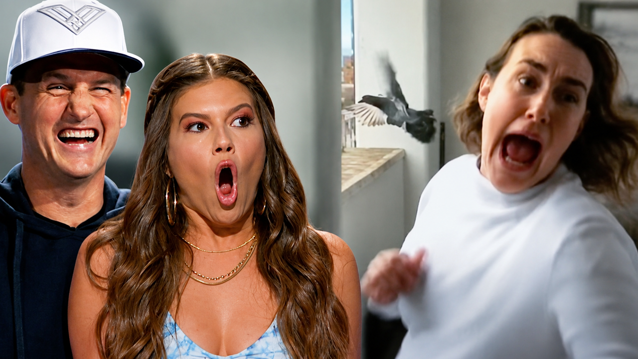 Getaway attempts turn everyday chaos into comedy