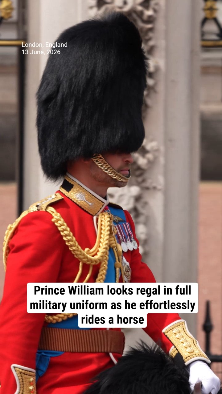 Prince William looks regal in full military uniform as he effortlessly ...