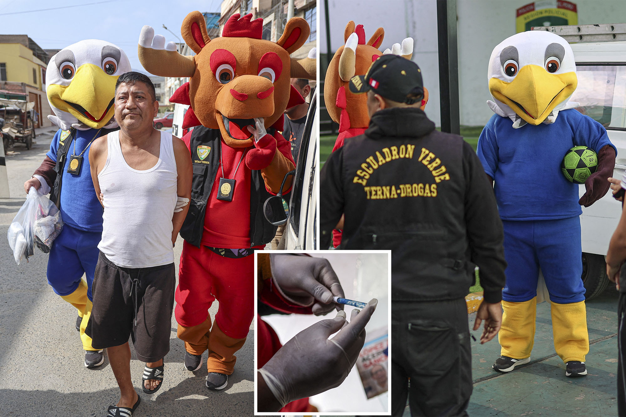 Cops disguised themselves as World Cup mascots to bust drug dealer in ...