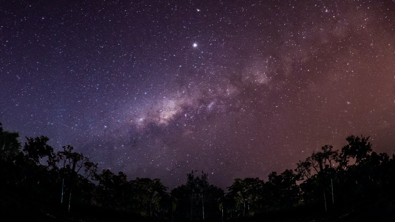 There are more trees on Earth, roughly 3 trillion, than stars in the ...
