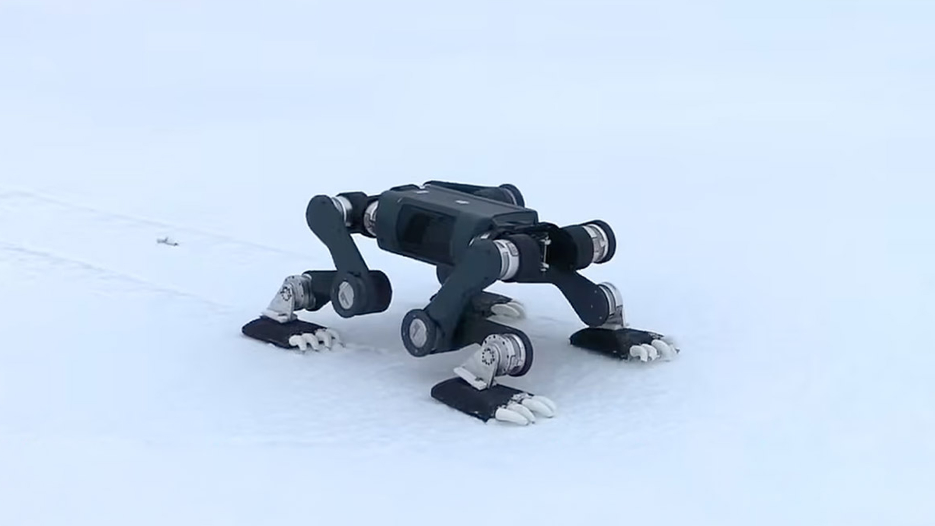 First-ever: Four-legged robot dog successfully walks across treacherous ...