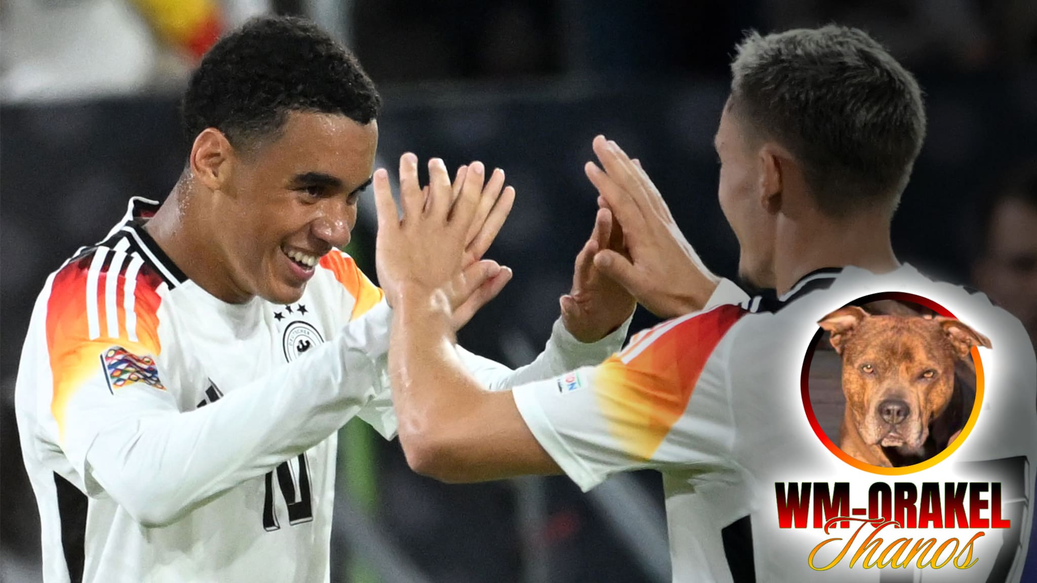 Harke-WM-Orakel „Thanos“ sagt Deutschland-Sieg gegen Curaçao voraus