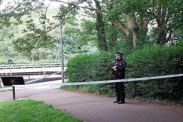 Girl fights for life after 'stolen digger incident' in park where seven ...