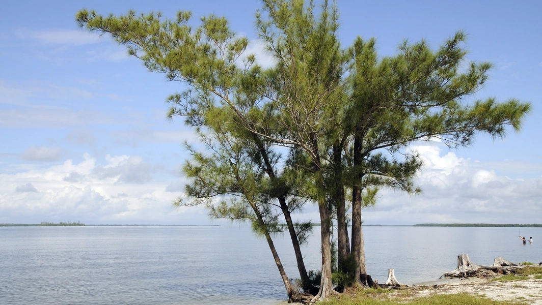 12 hidden beaches and coastal escapes in Florida