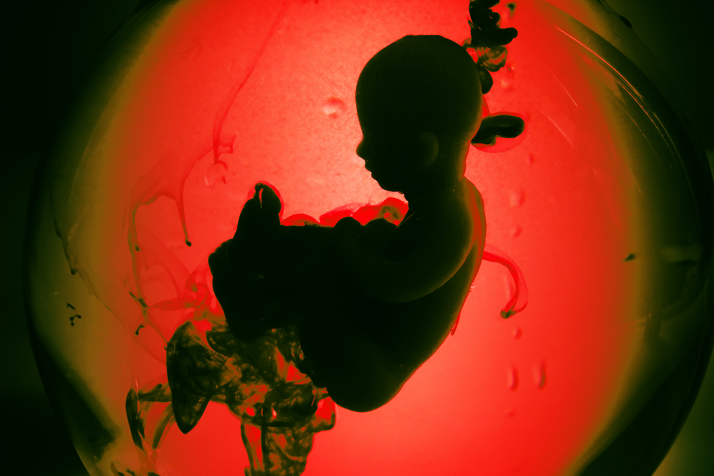 Scientists concerned latest gene editing of human embryos could open ...