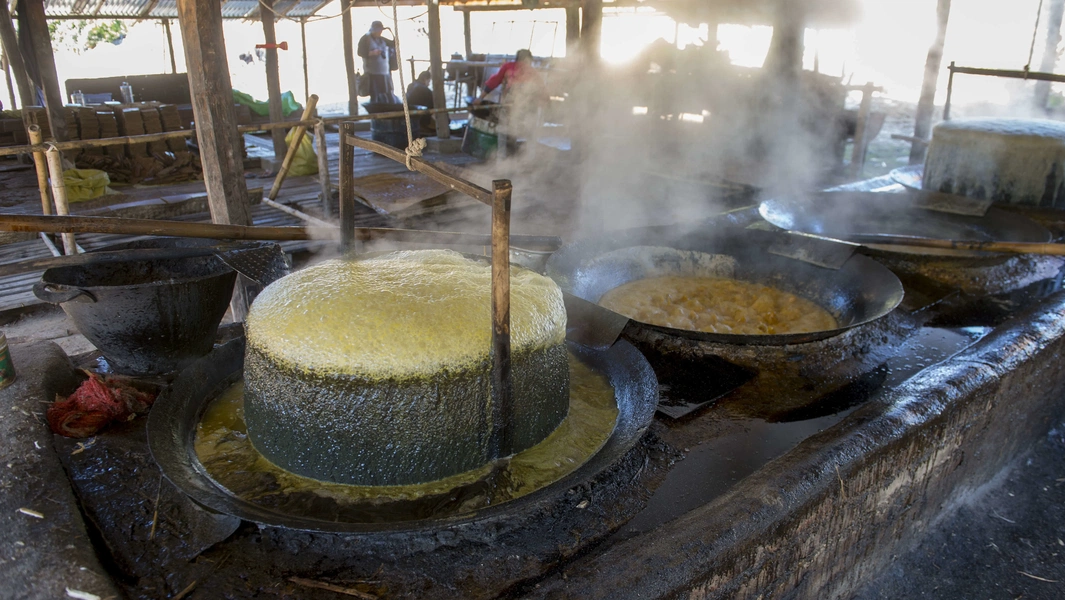Golden syrup: history, production, and uses