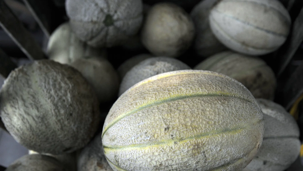 Proper cantaloupe selection and storage tips