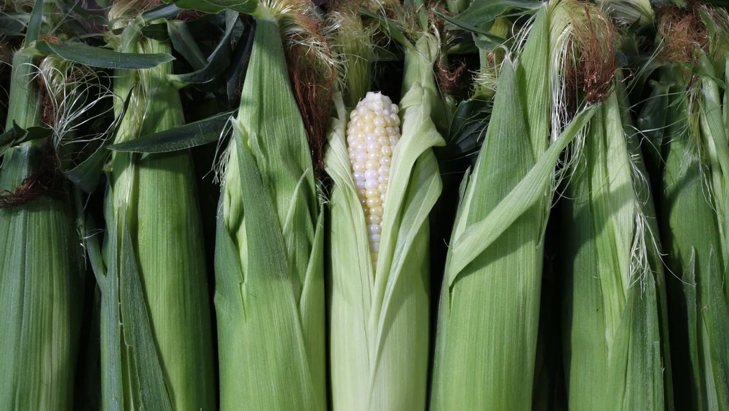Southern Living debuts 35 fresh corn recipes for summer