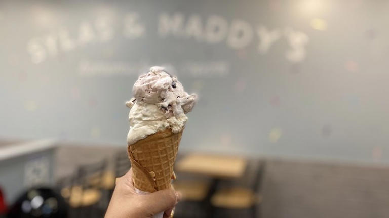 The best ice cream shop in every state