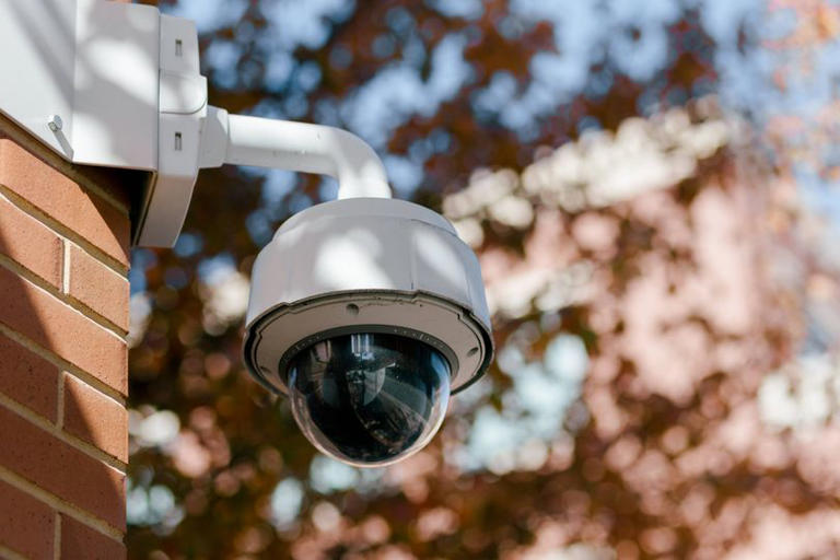 I caught neighbour in unforgivable act on my new security camera - I ...